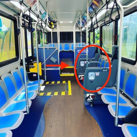 Renting an electric scooter (ECV) at Walt Disney World