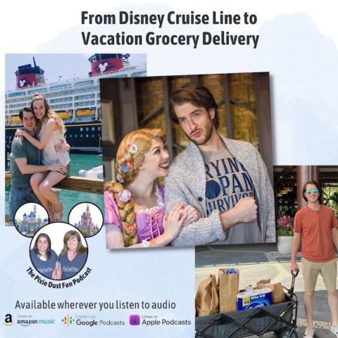 Grocery Delivery For Your Vacation At Walt Disney World
